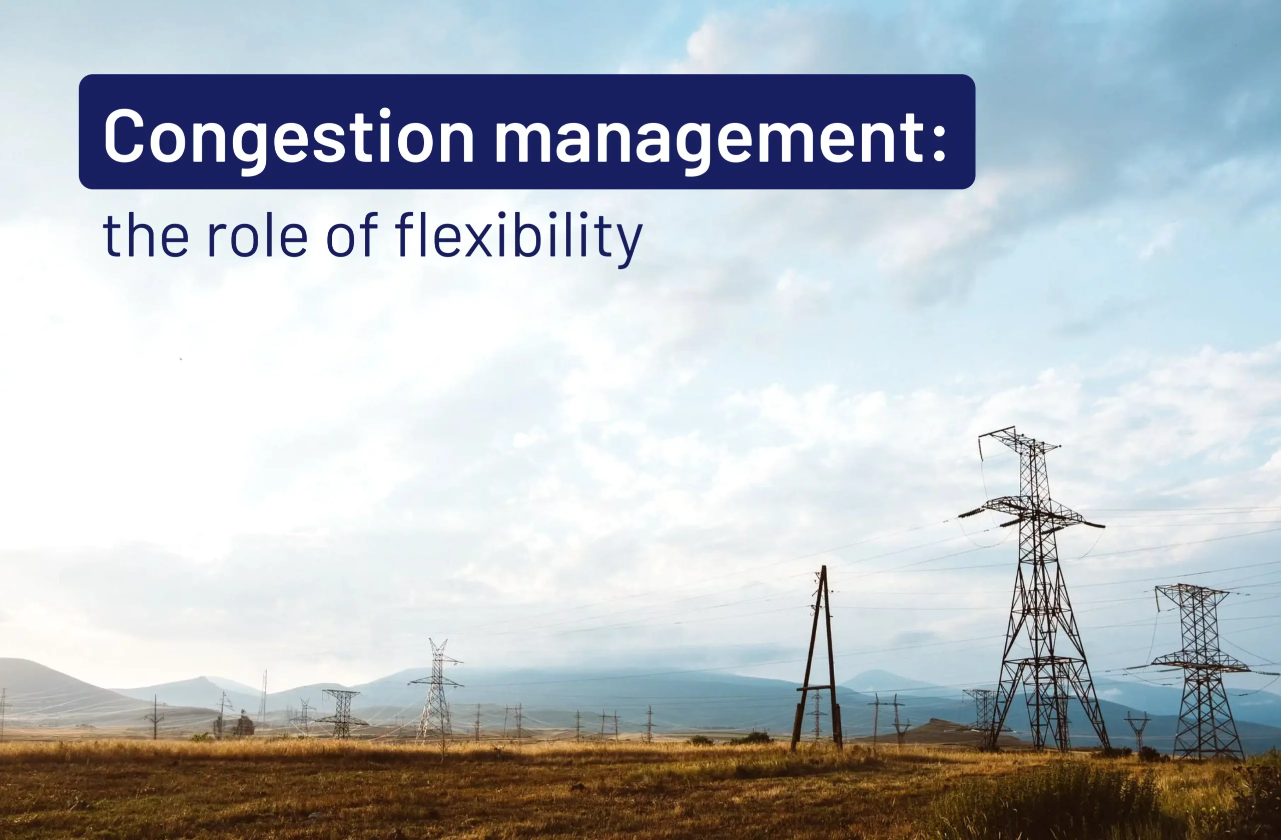 Congestion Management: The Role of Flexibility